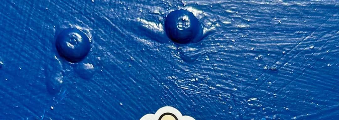 Ben Farrow VI Portfolio by Ben Farrow - Issuu