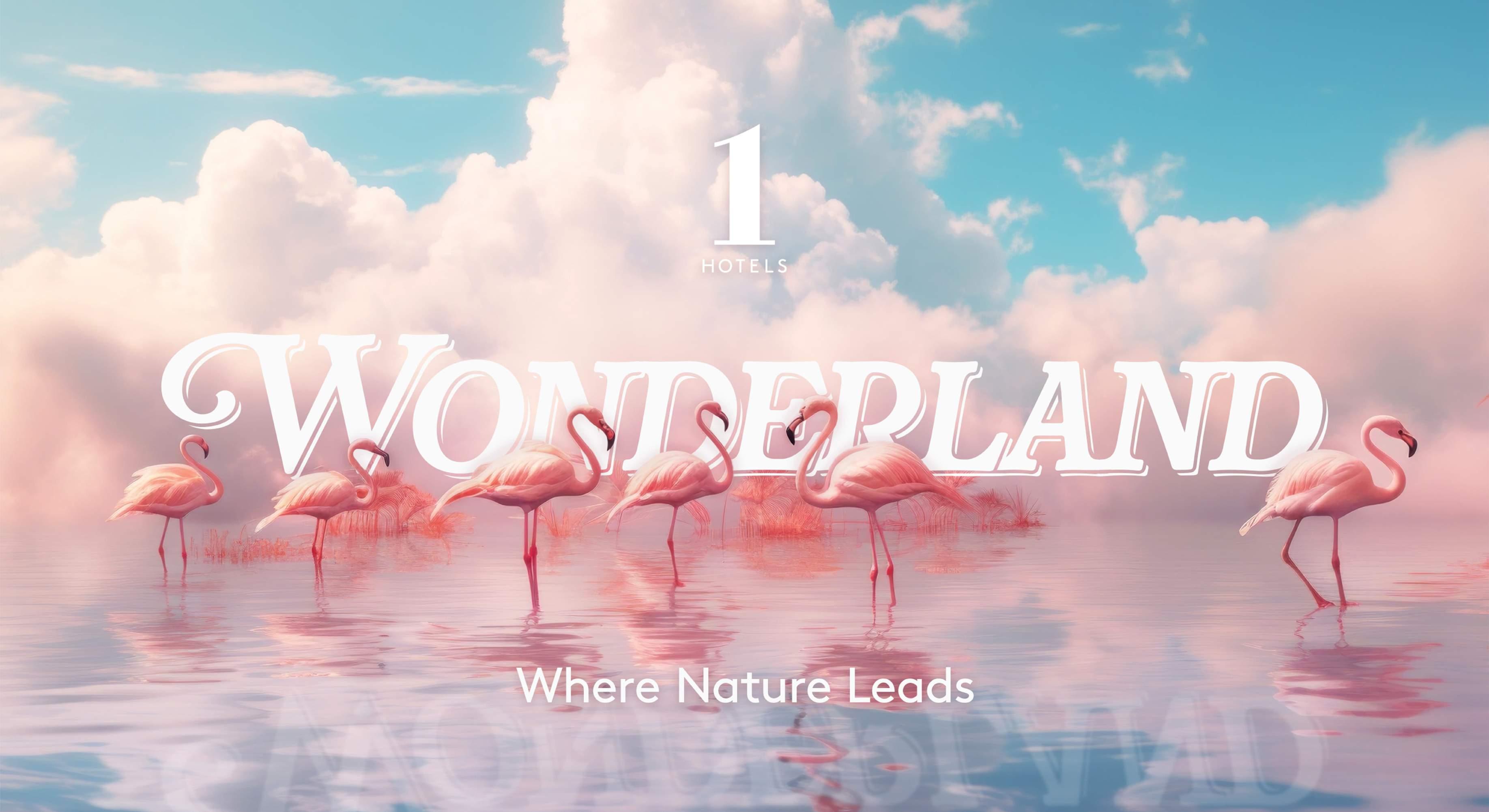 Ben Farrow VI Portfolio by Ben Farrow - Issuu