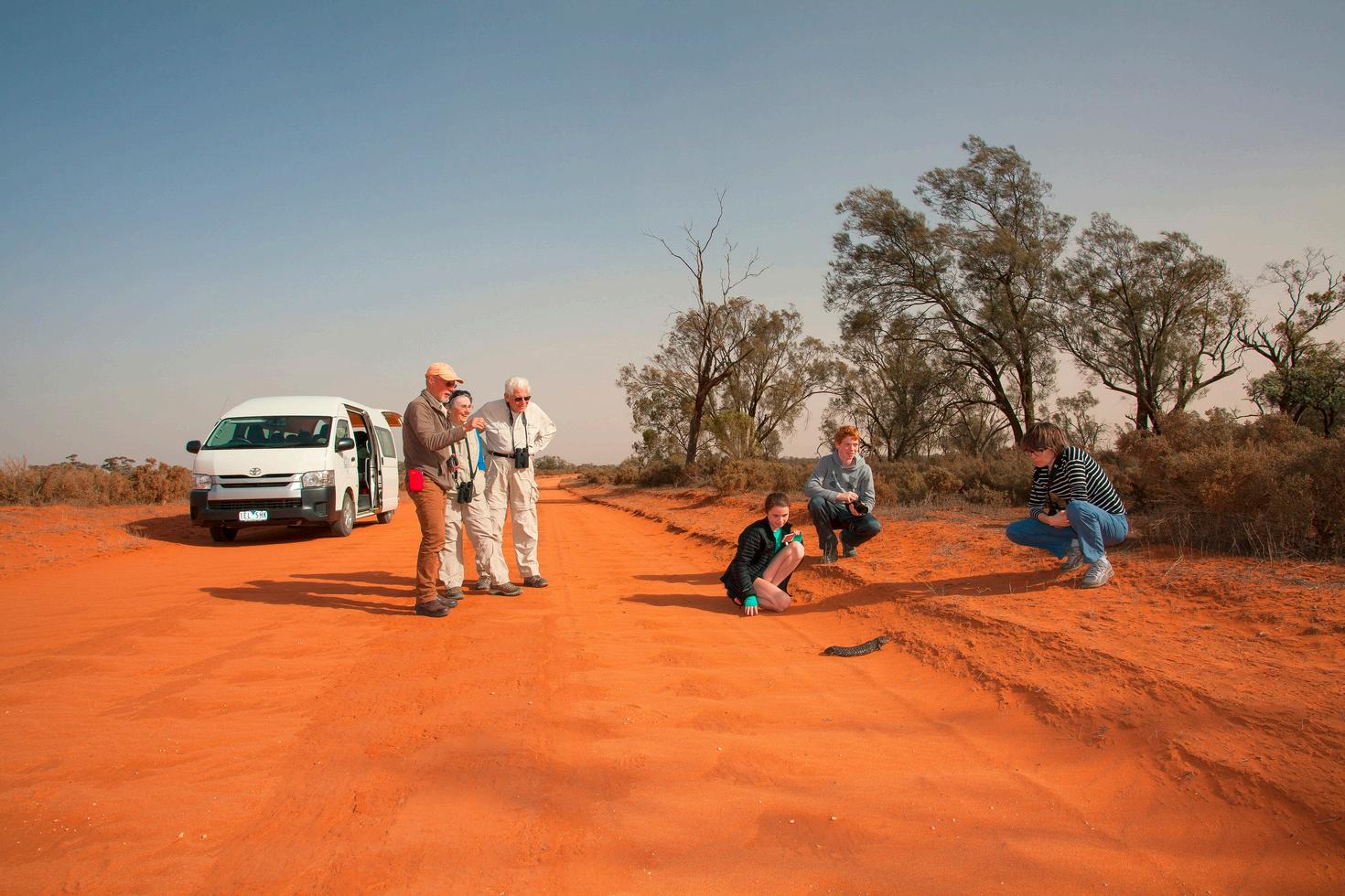 Conservation & Sustainability Framework by Roger Smith - Issuu
