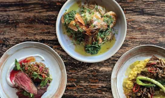 Arc Cardinal Catalog 2024/2025 by Arc Cardinal - Issuu