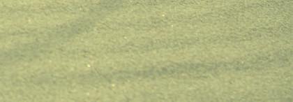 First Break June 2024 - Technology and Talent for a Secure and ...