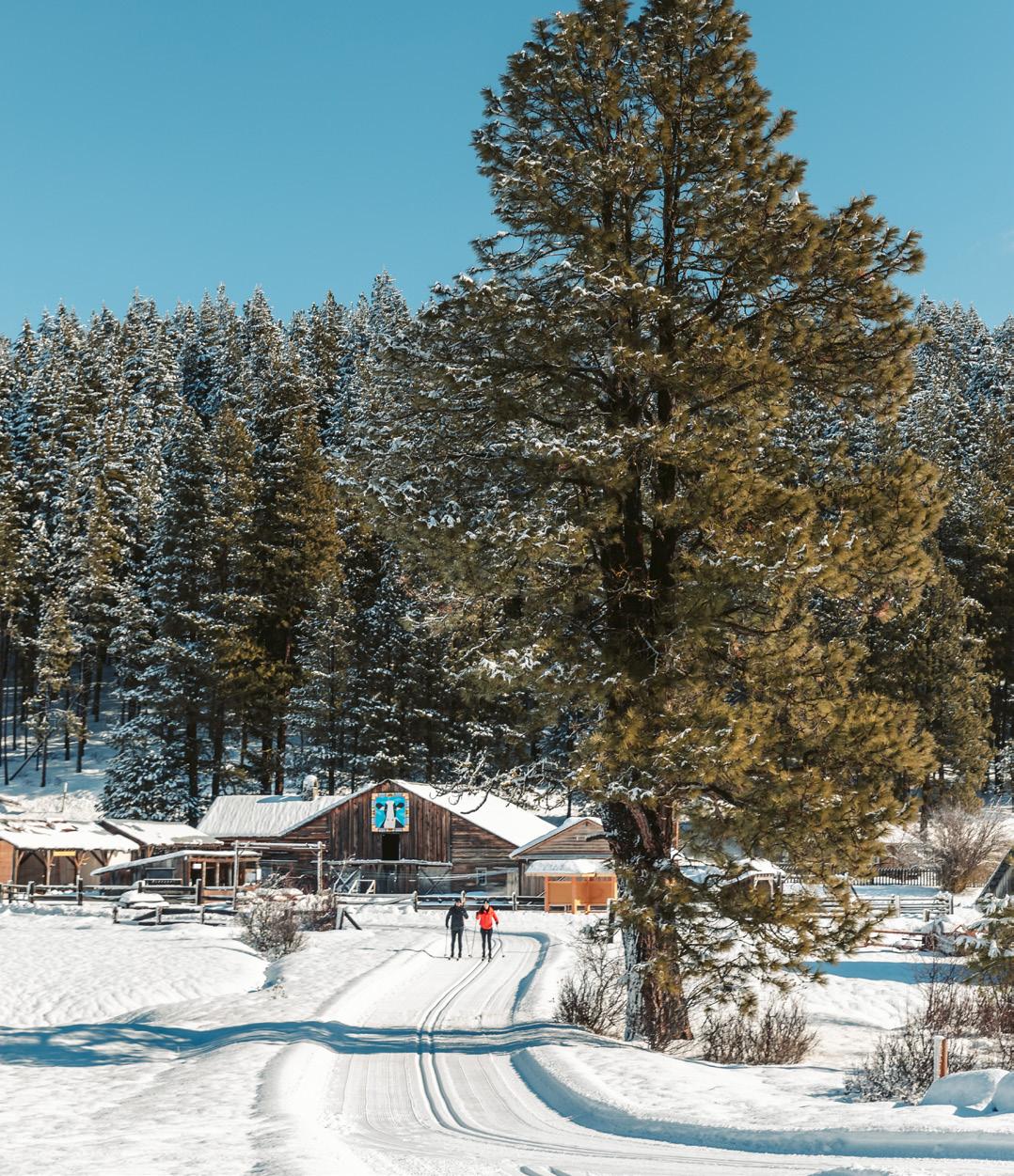 Suncadia Group Activity Guide by Suncadia Resort - Issuu