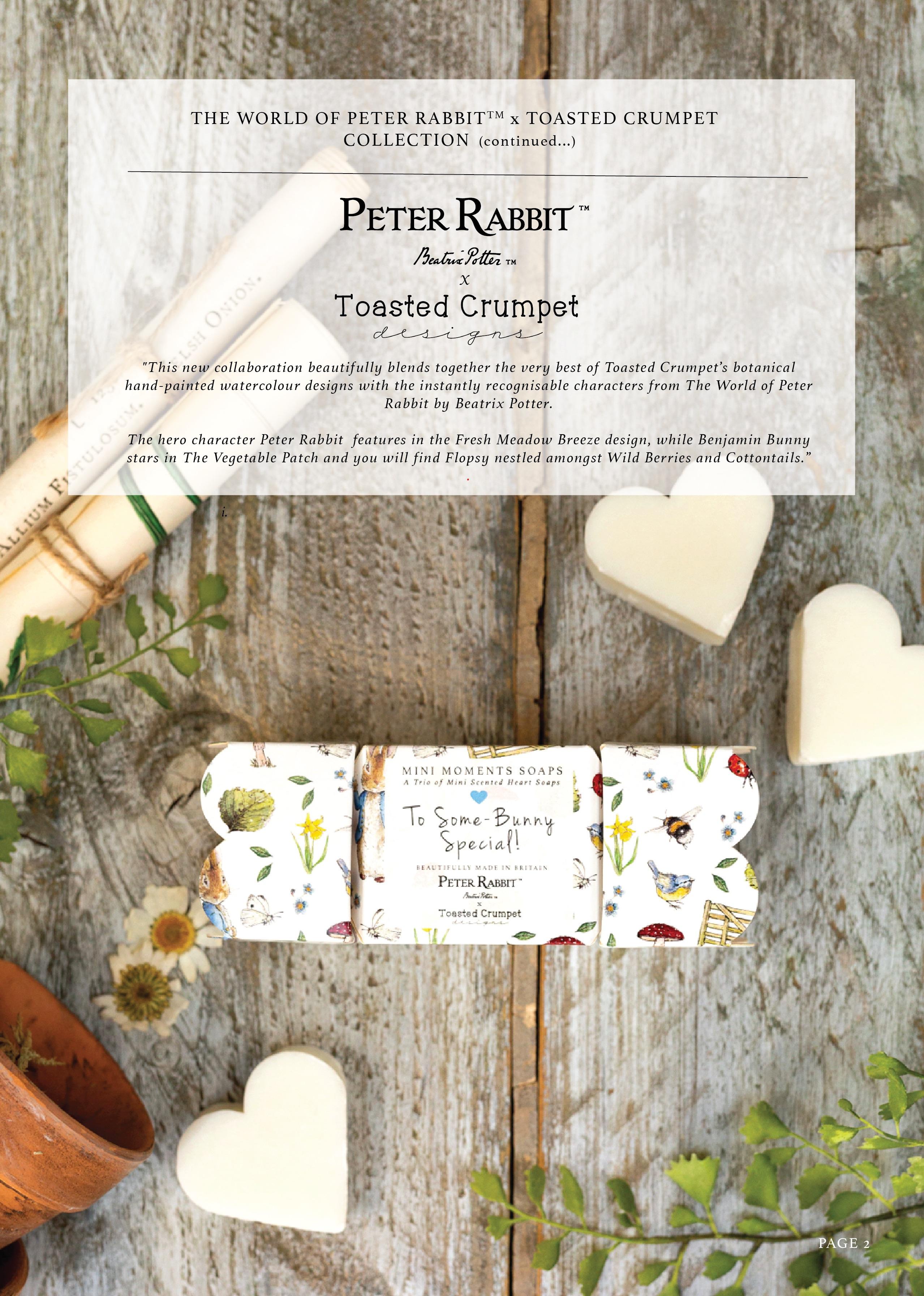 The World of Peter Rabbit x Toasted Crumpet 2024 Wholesale Catalogue ...