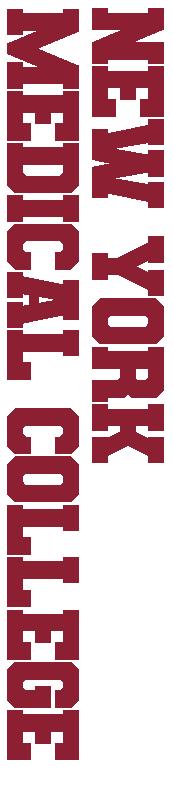 NYMC Style Guide by New York Medical College - Issuu