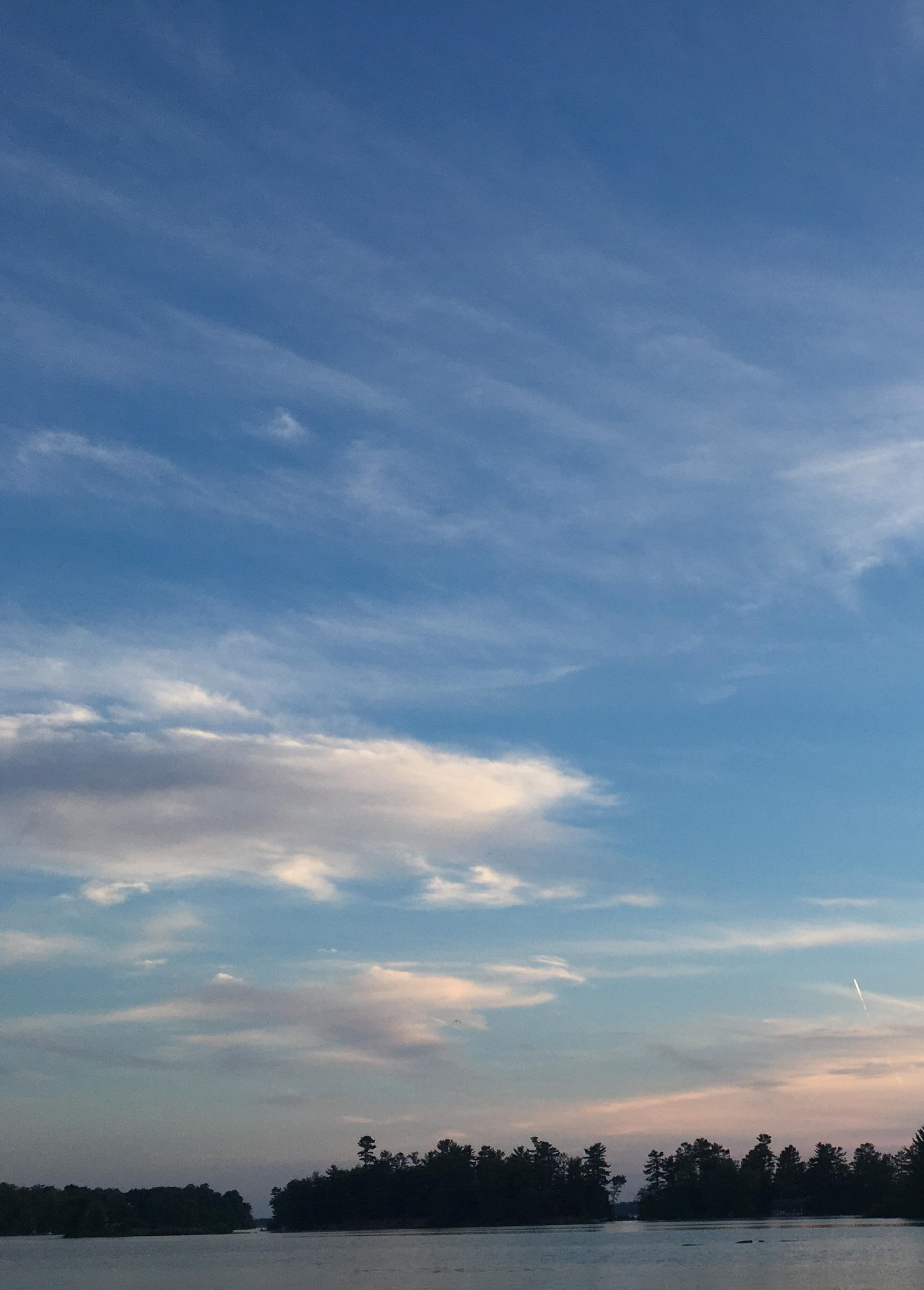 Kinship I by RootedMcGill - Issuu