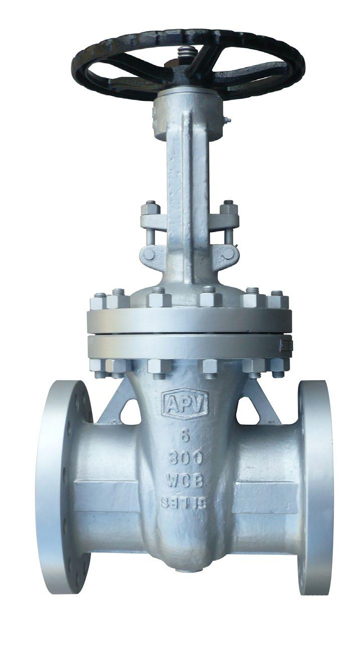 APV Cast Gate, Globe & Check Valve Full Catalogue by Australian Valve ...
