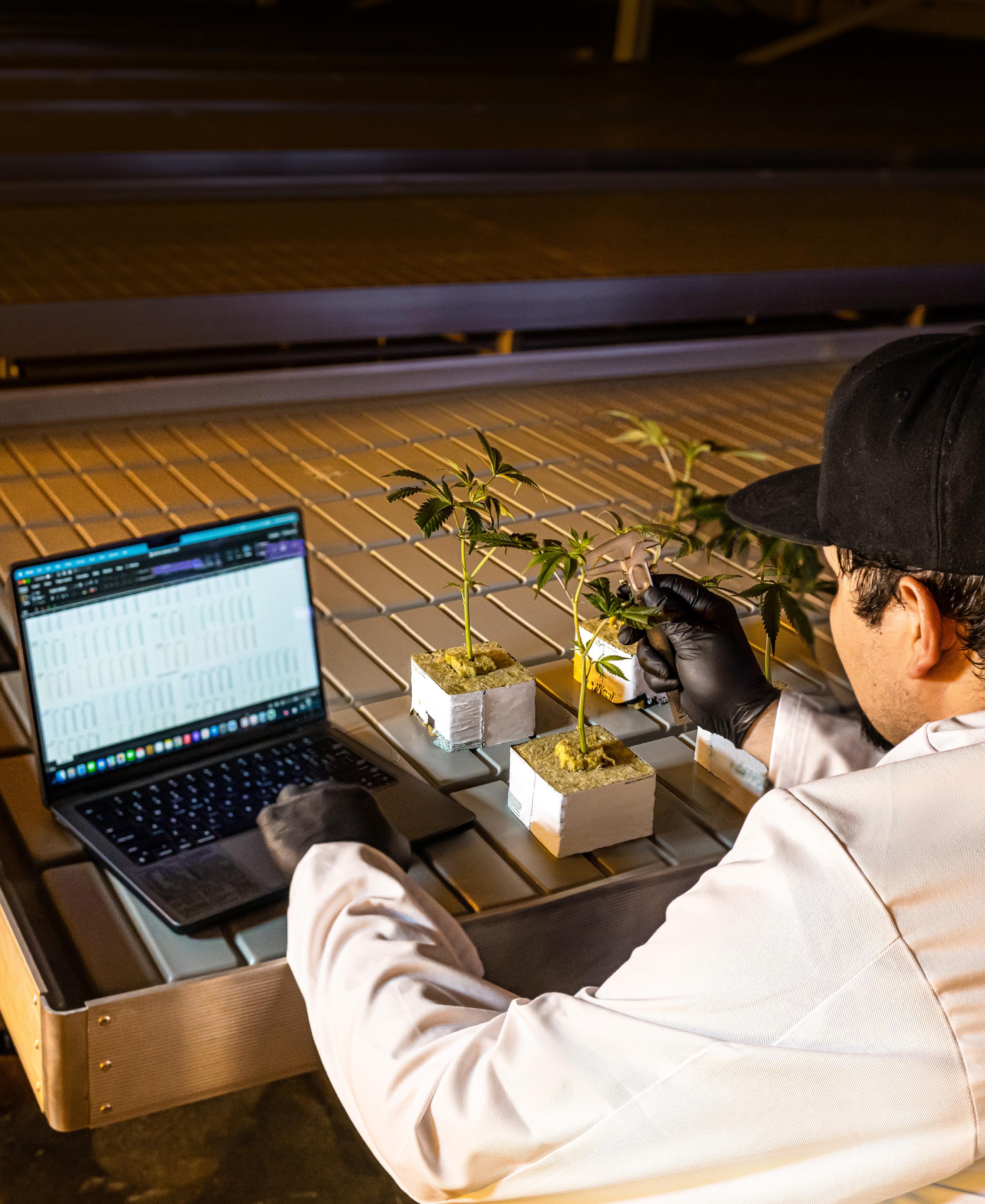 The Athena Handbook (Imperial) by Athena Ag - Issuu