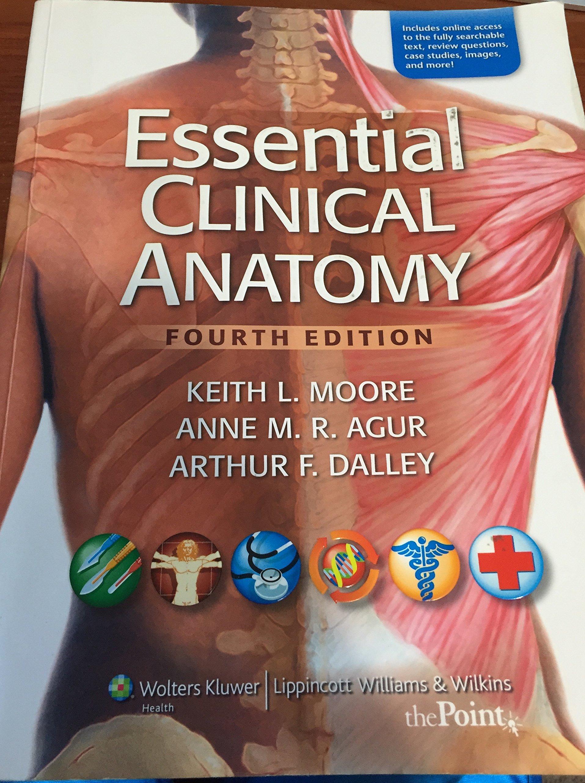 READ [PDF] Essential Clinical Anatomy, 4th Edition by finleywardas - Issuu