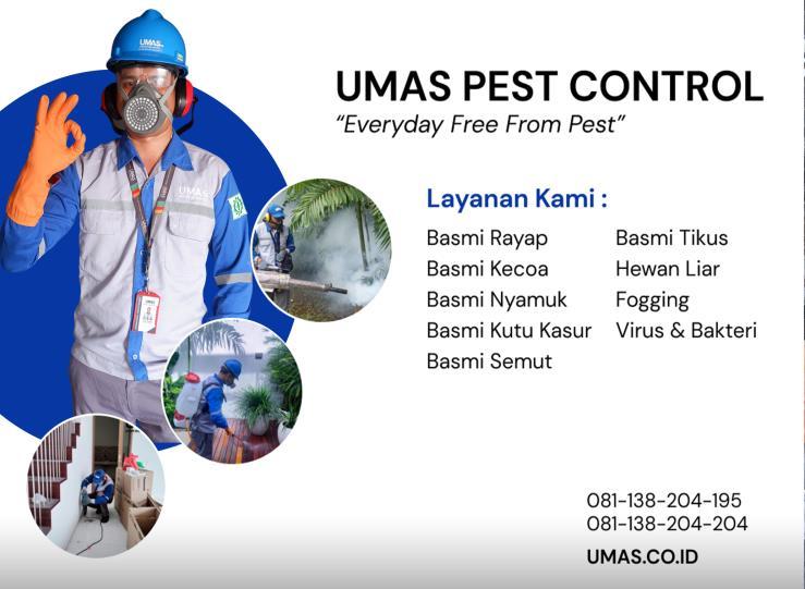 Pest Control Bali: Solusi Terbaik untuk Rumah dan Bisnis Anda by ...