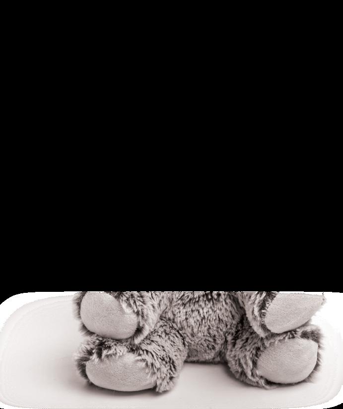 2024 Lipco Group Catalog by Lipco Group - Issuu