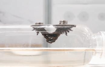 David Quek: Architecture Portfolio 2022-2024 by David Quek - Issuu