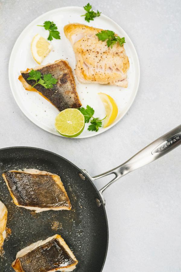 2024 SCANPAN Catalog by scanpanusa - Issuu