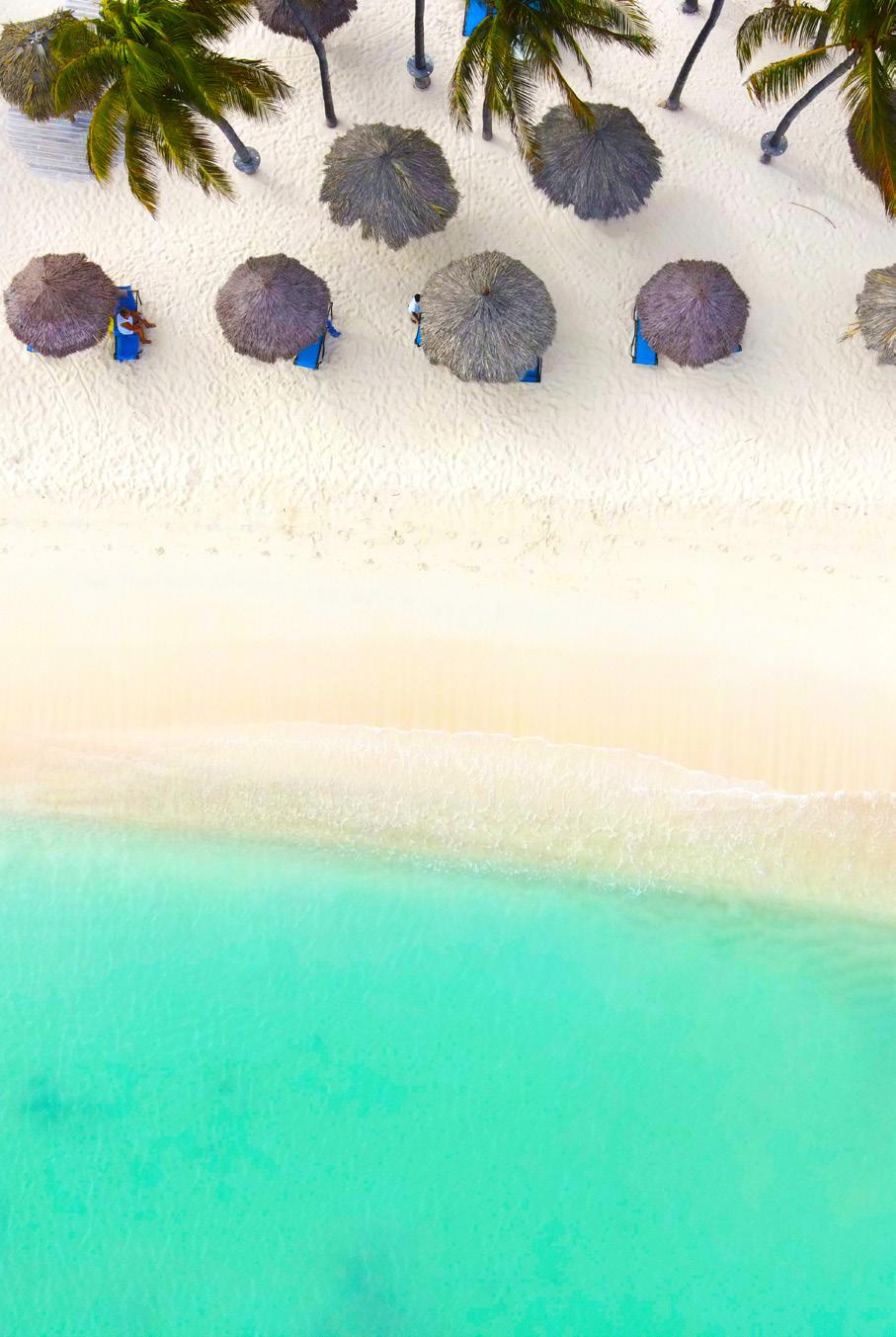2024 Divi Vacation Club Pocket Guide by Divi Resorts - Issuu