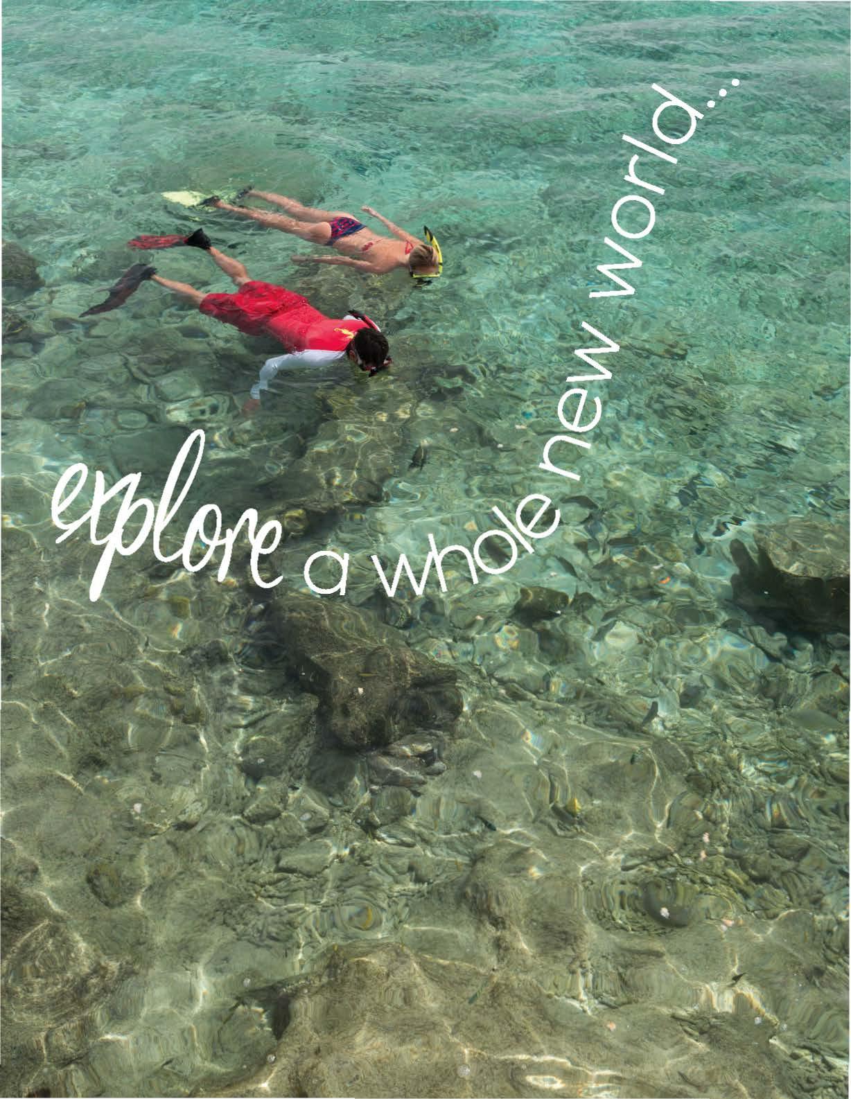 2024 DVC Membership Guide by Divi Resorts - Issuu