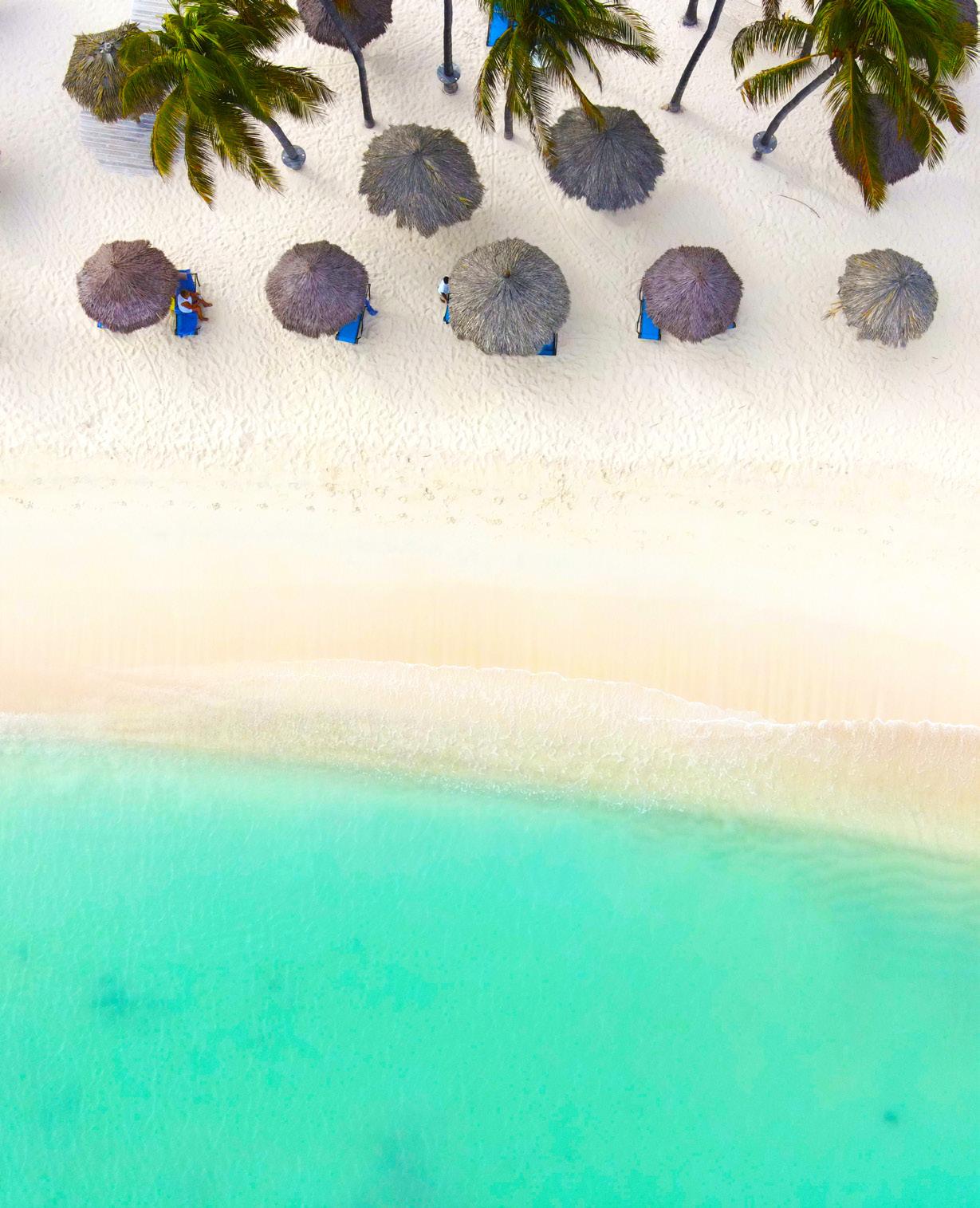 2024 DVC Membership Guide by Divi Resorts - Issuu