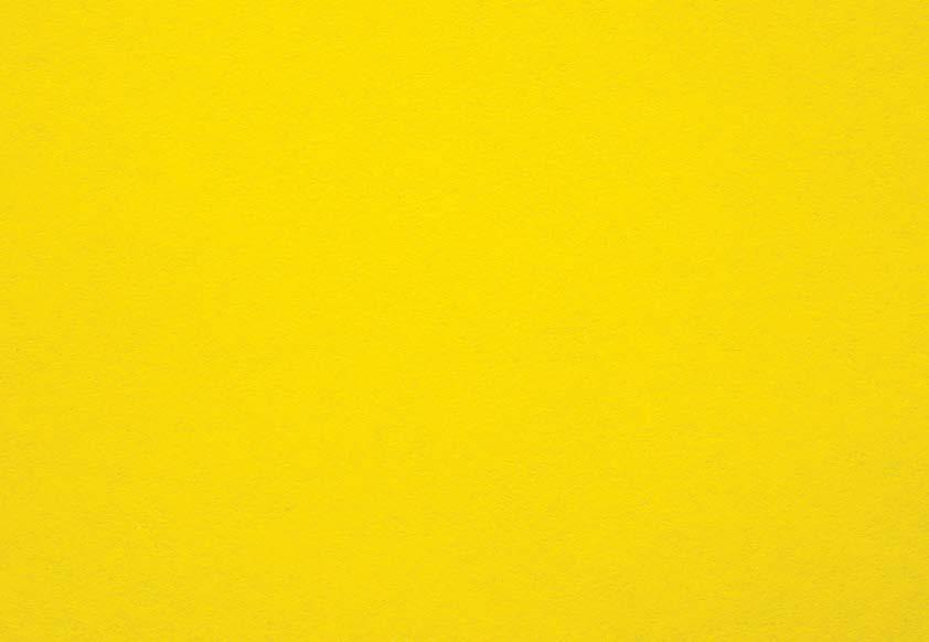 Kennesaw State University 2024-2025 Undergraduate Admissions Viewbook ...