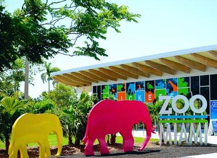 Tri-Rail Fun Guide by Tri-Rail - Issuu