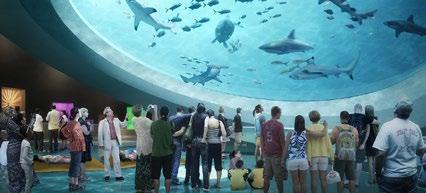 Tri-Rail Fun Guide by Tri-Rail - Issuu