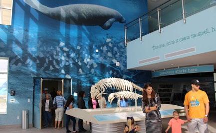 Tri-Rail Fun Guide by Tri-Rail - Issuu