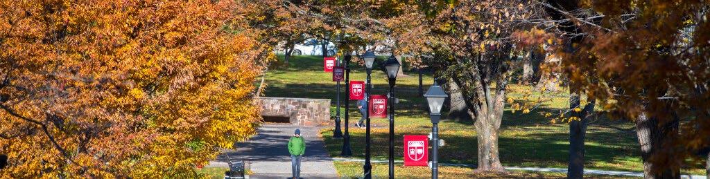 MSW Field Education Manual by Rutgers SSW - Issuu