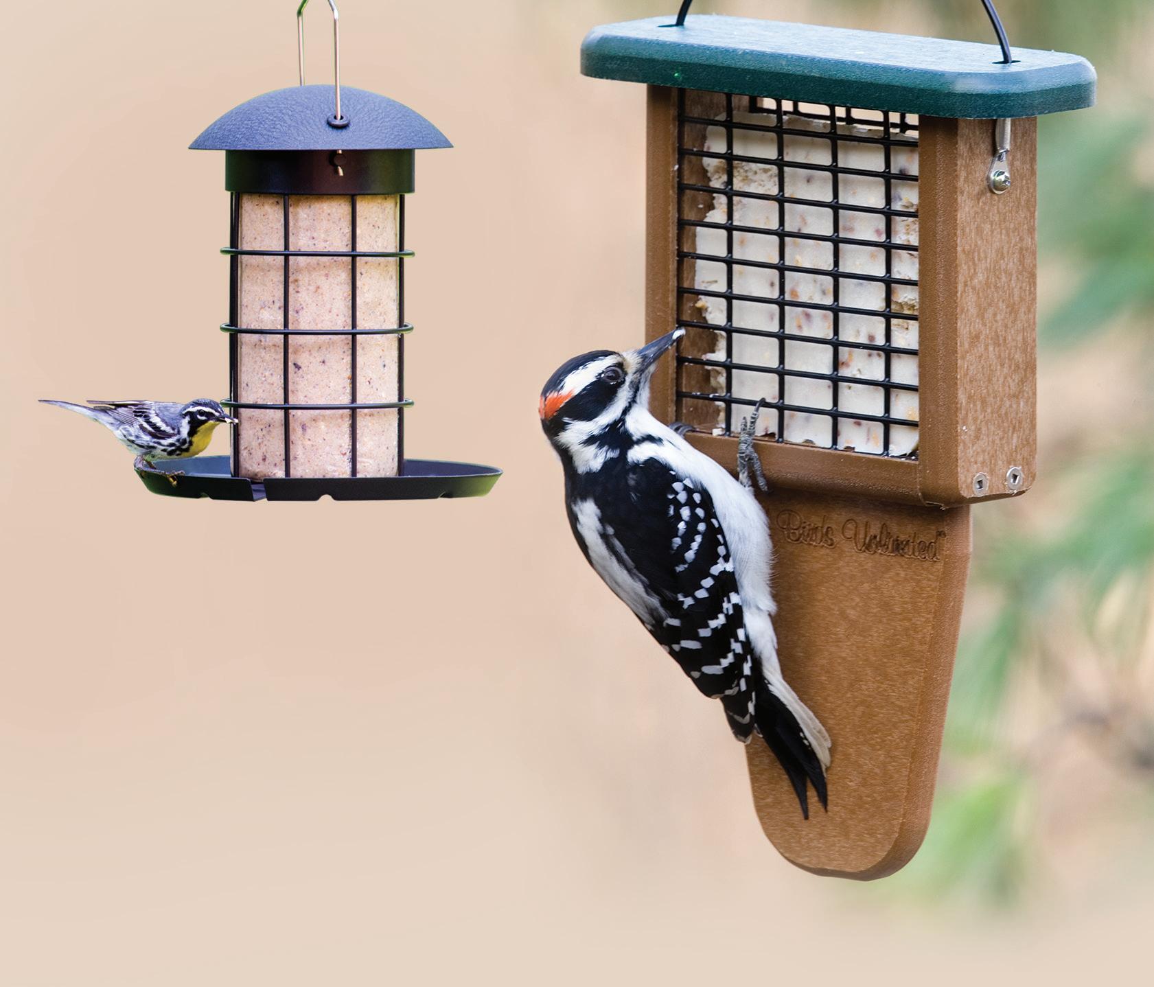 Wild Birds Unlimited All Seasons Hobby Guide Canada by Wild Birds ...