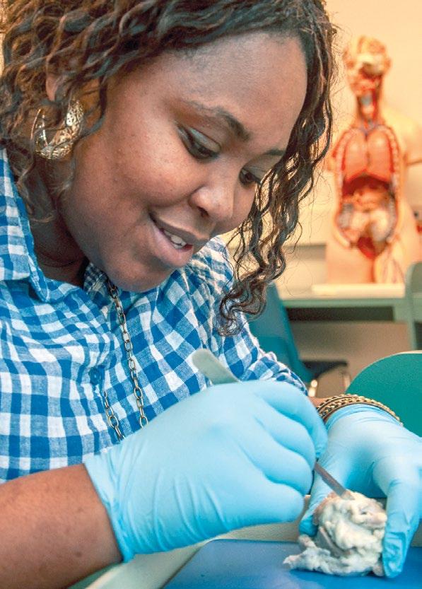 2025-2026 Niagara College Program Guide by Niagara College - Issuu