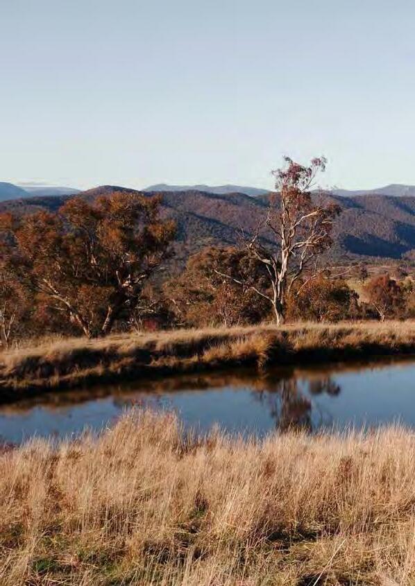 National Drowning Report 2024 by SLSA - Issuu