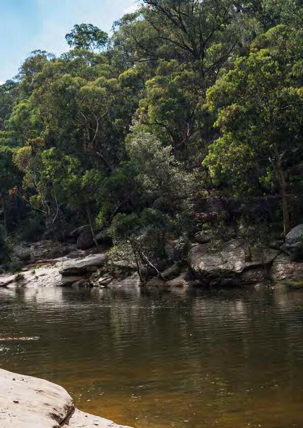 National Drowning Report 2024 by SLSA - Issuu