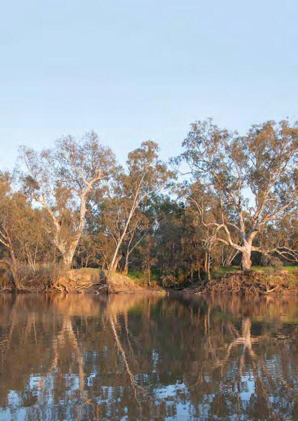 National Drowning Report 2024 by SLSA - Issuu