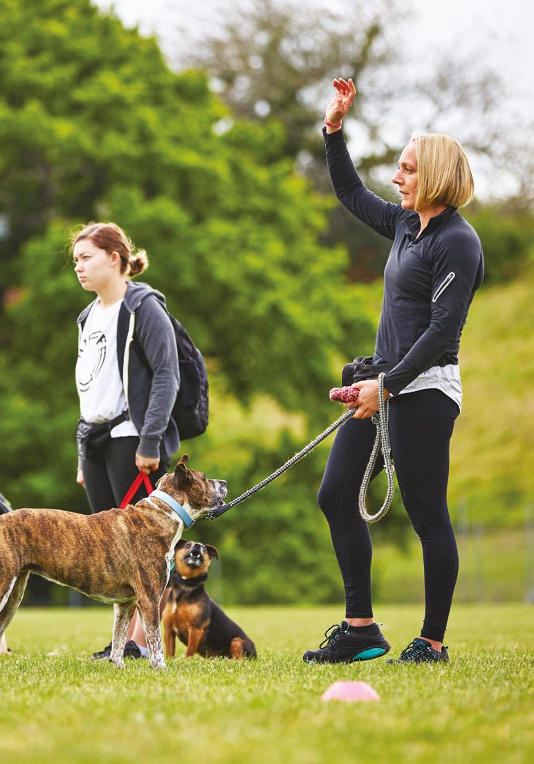 Environmental and Animal Sciences Brochure 2025 by Unitec - Issuu