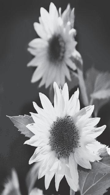 Classifieds by The Emporia Gazette - Issuu