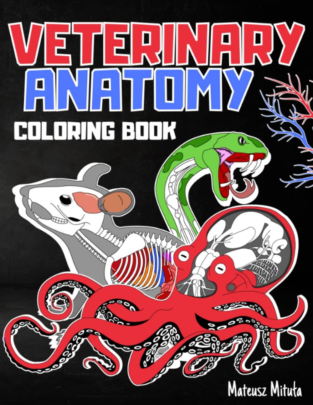 Download Book [PDF] Veterinary Anatomy Coloring Book: Animal Anatomy ...