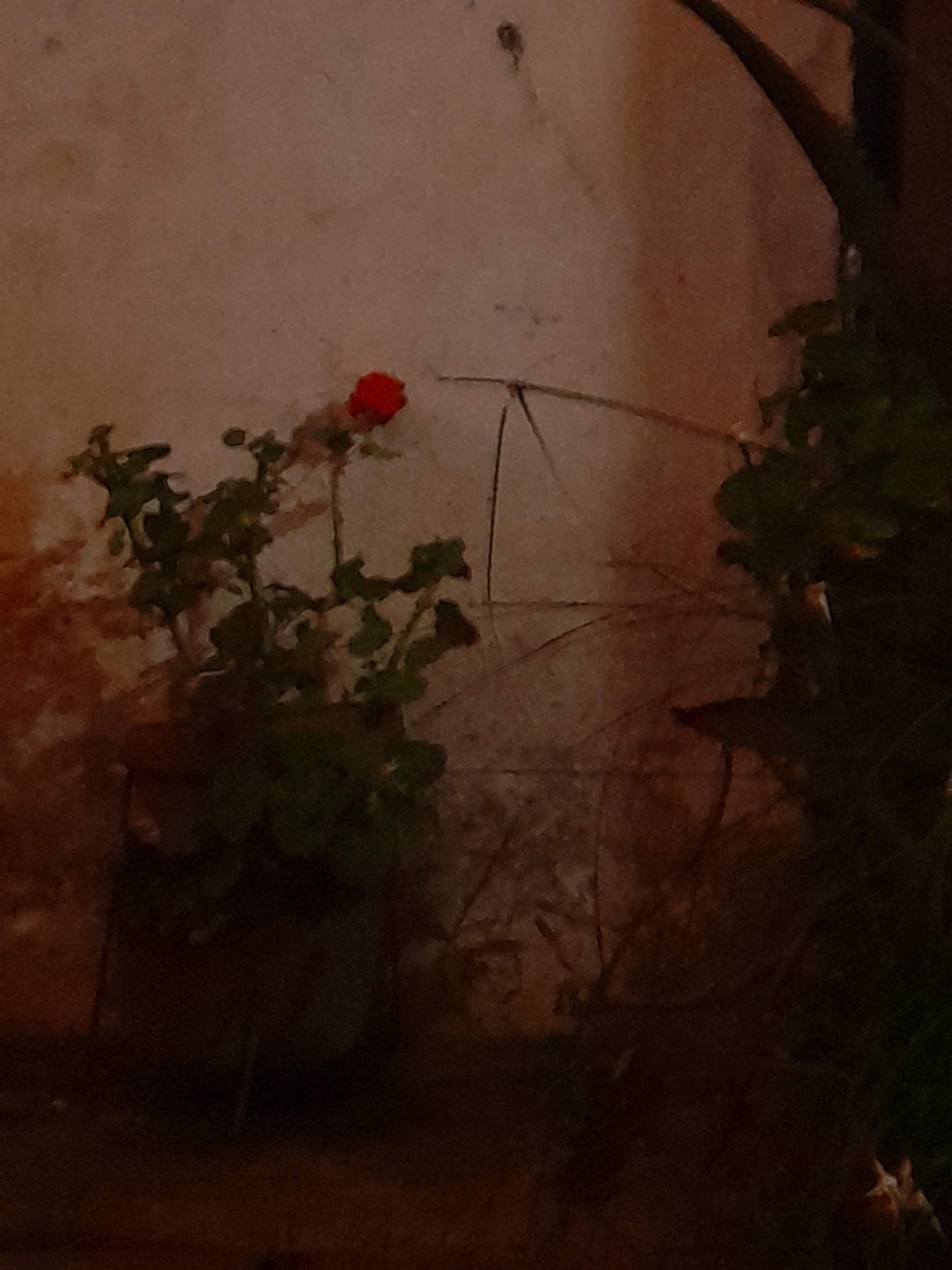 Portafolio trabajo fotografia by VALERIA SANCLEMENTE AGUACIA - Issuu