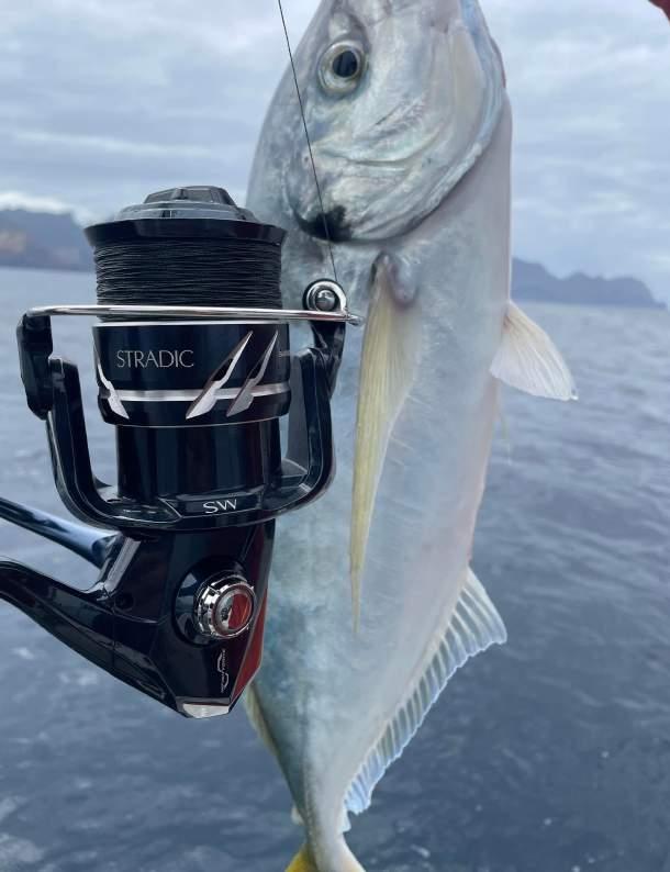 Catalogo Pesca Temporada 24-25 by TEC Harseim SpA - Issuu