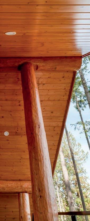 Sashco Log Home How-To & Product Guide by sashcoinc - Issuu