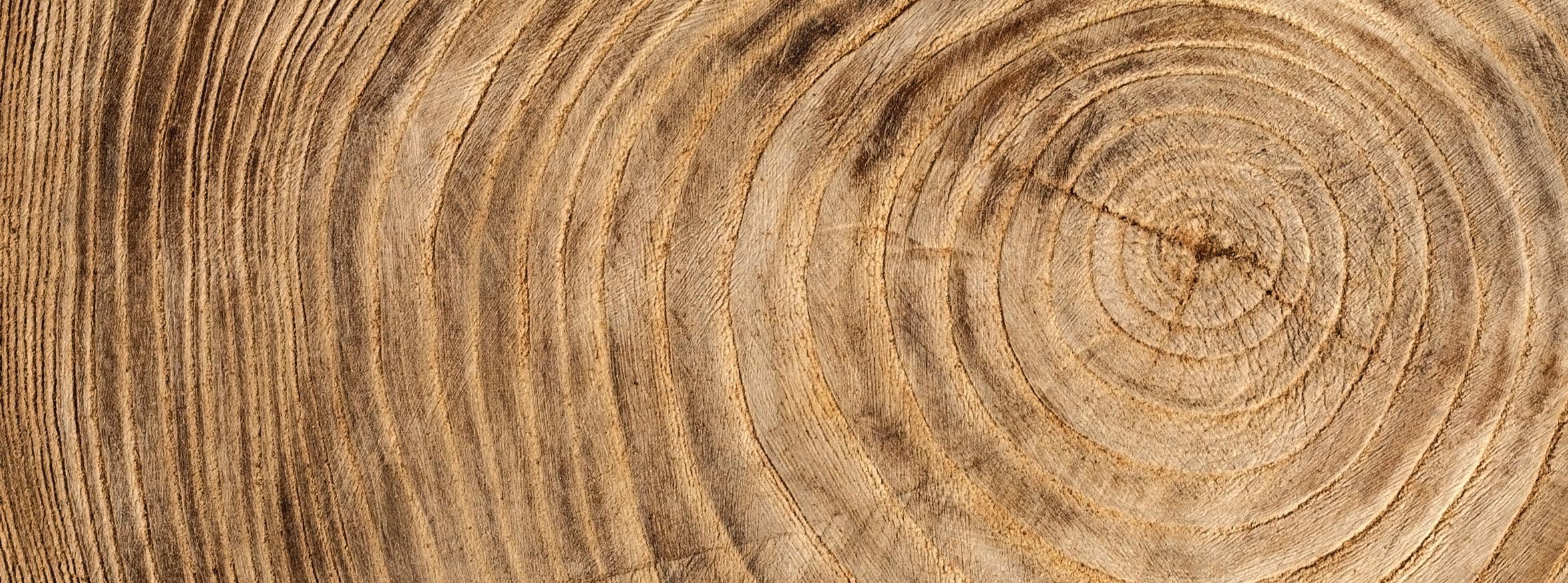 Sashco Log Home How-To & Product Guide by sashcoinc - Issuu