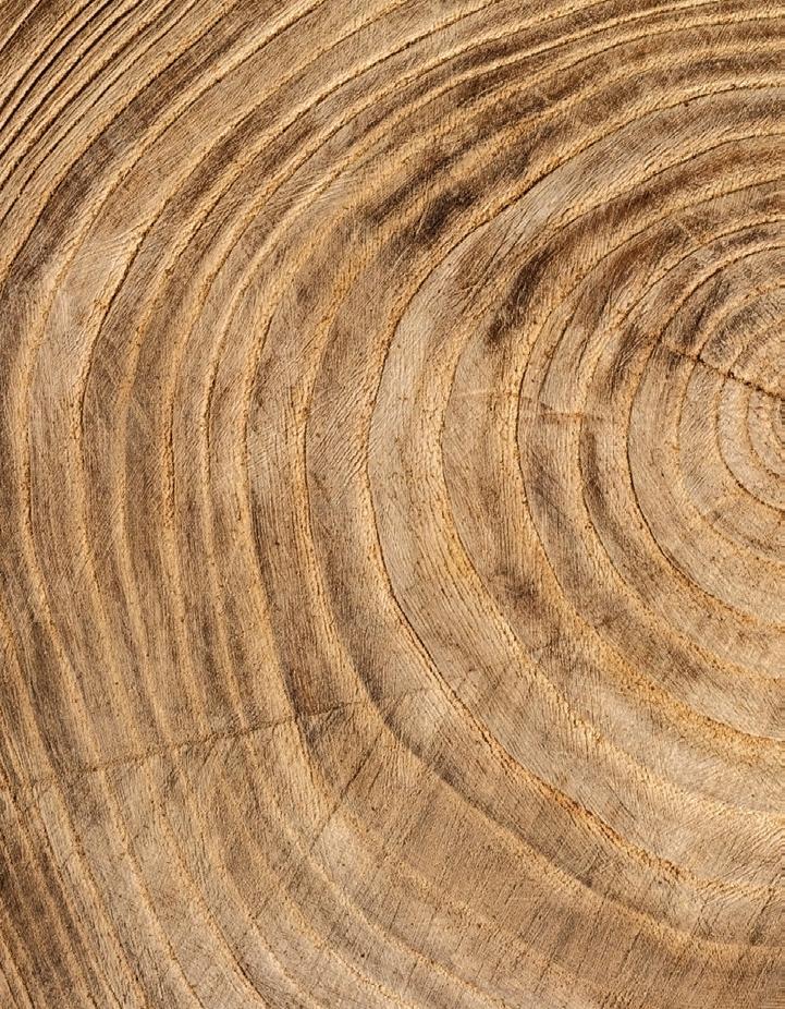 Sashco Log Home How-To & Product Guide by sashcoinc - Issuu