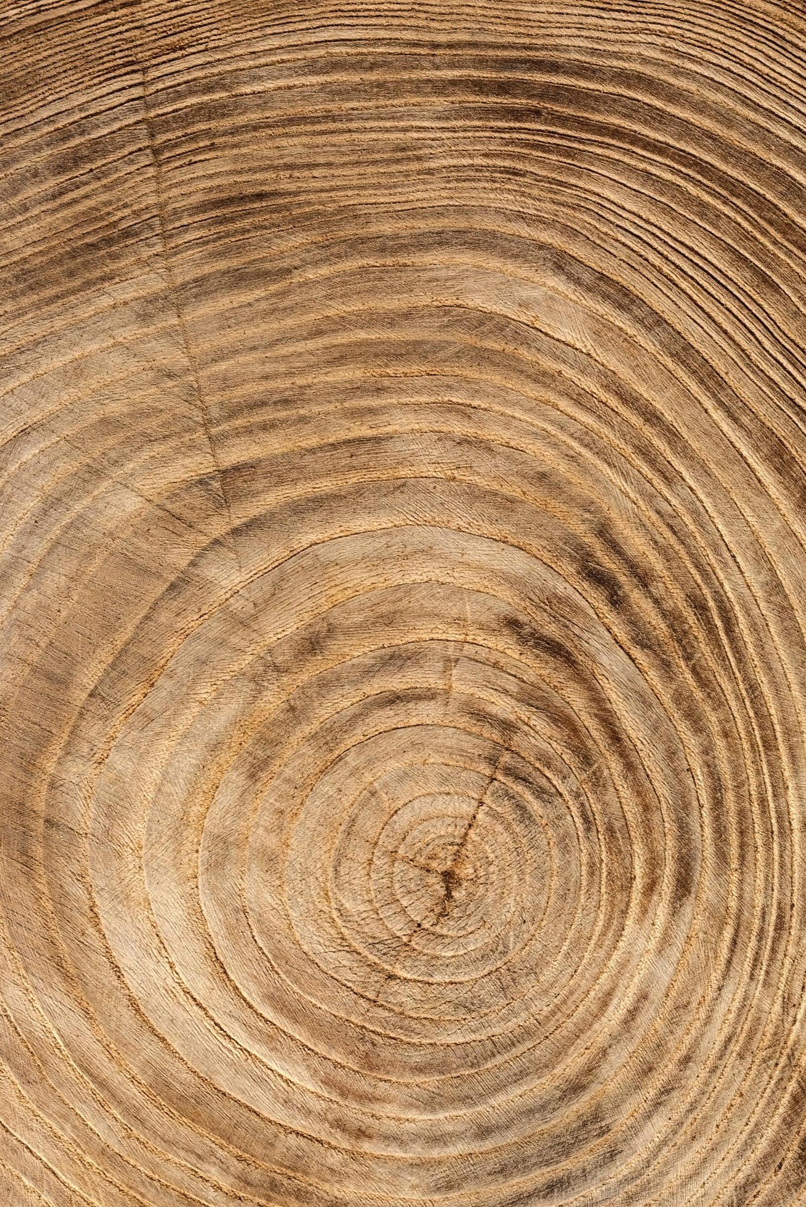 Sashco Log Home How-To & Product Guide by sashcoinc - Issuu