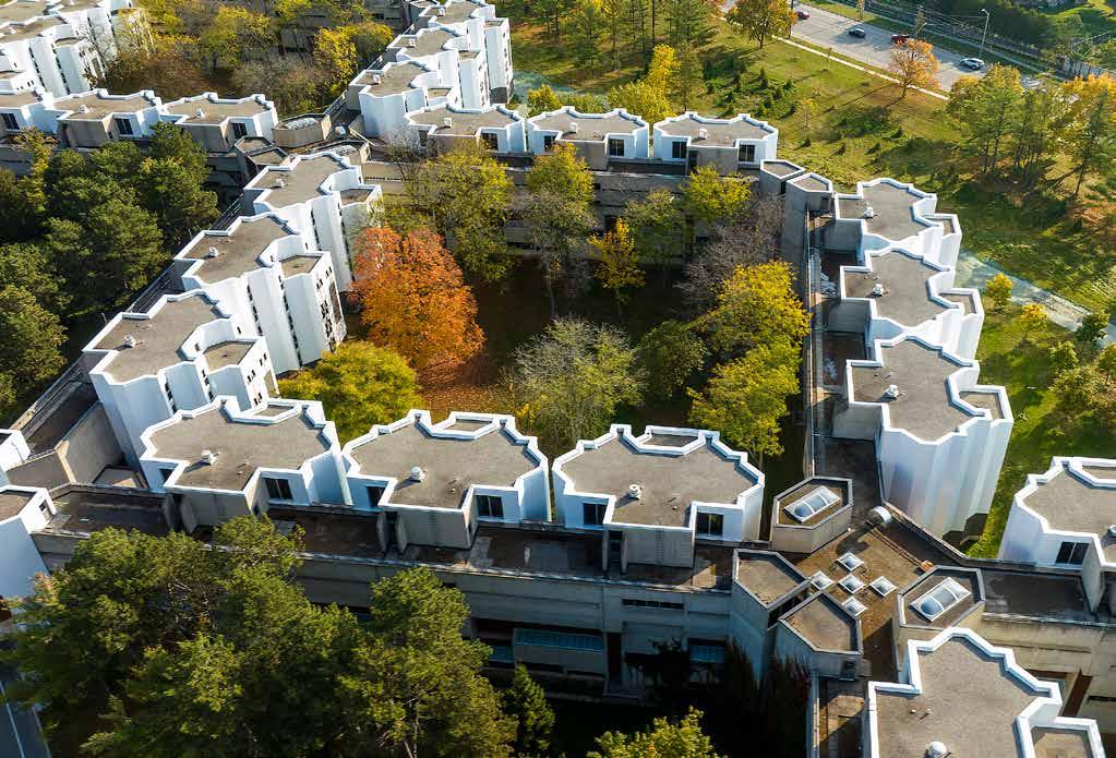 2025 Domestic Viewbook - University of Guelph by U of G admission - Issuu