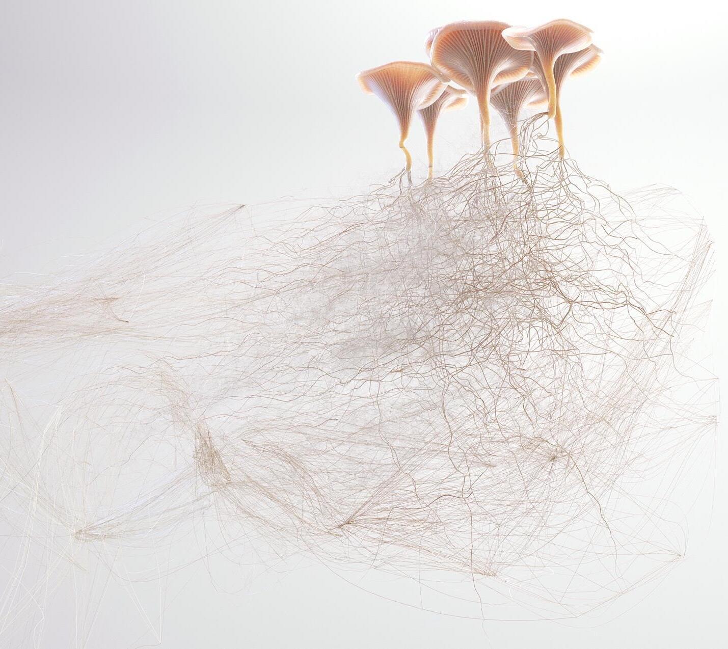 2024 MOHAWK PRODUCT CATALOG by goodrich global - Issuu