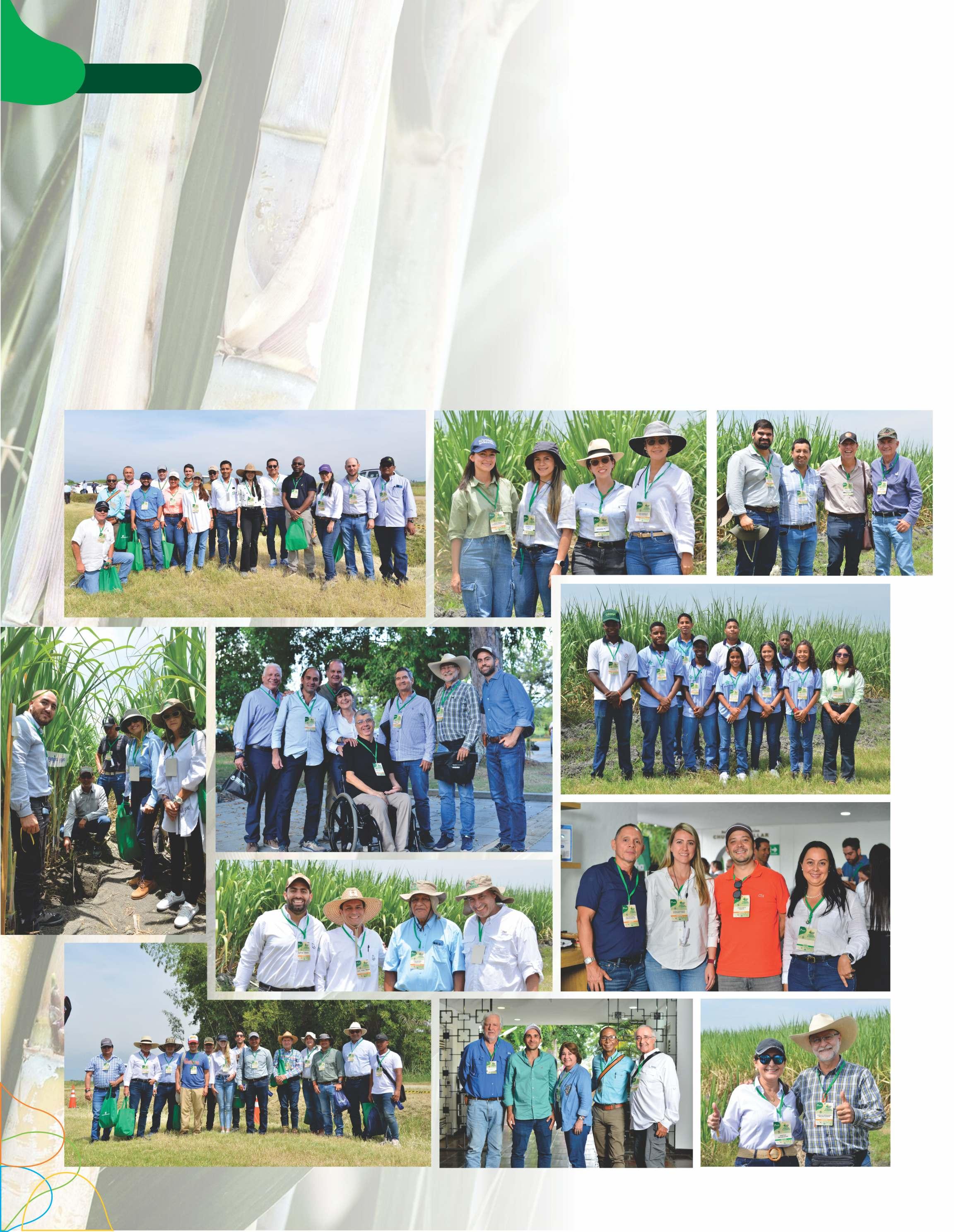 Revista Procaña 147 by Procaña - Issuu