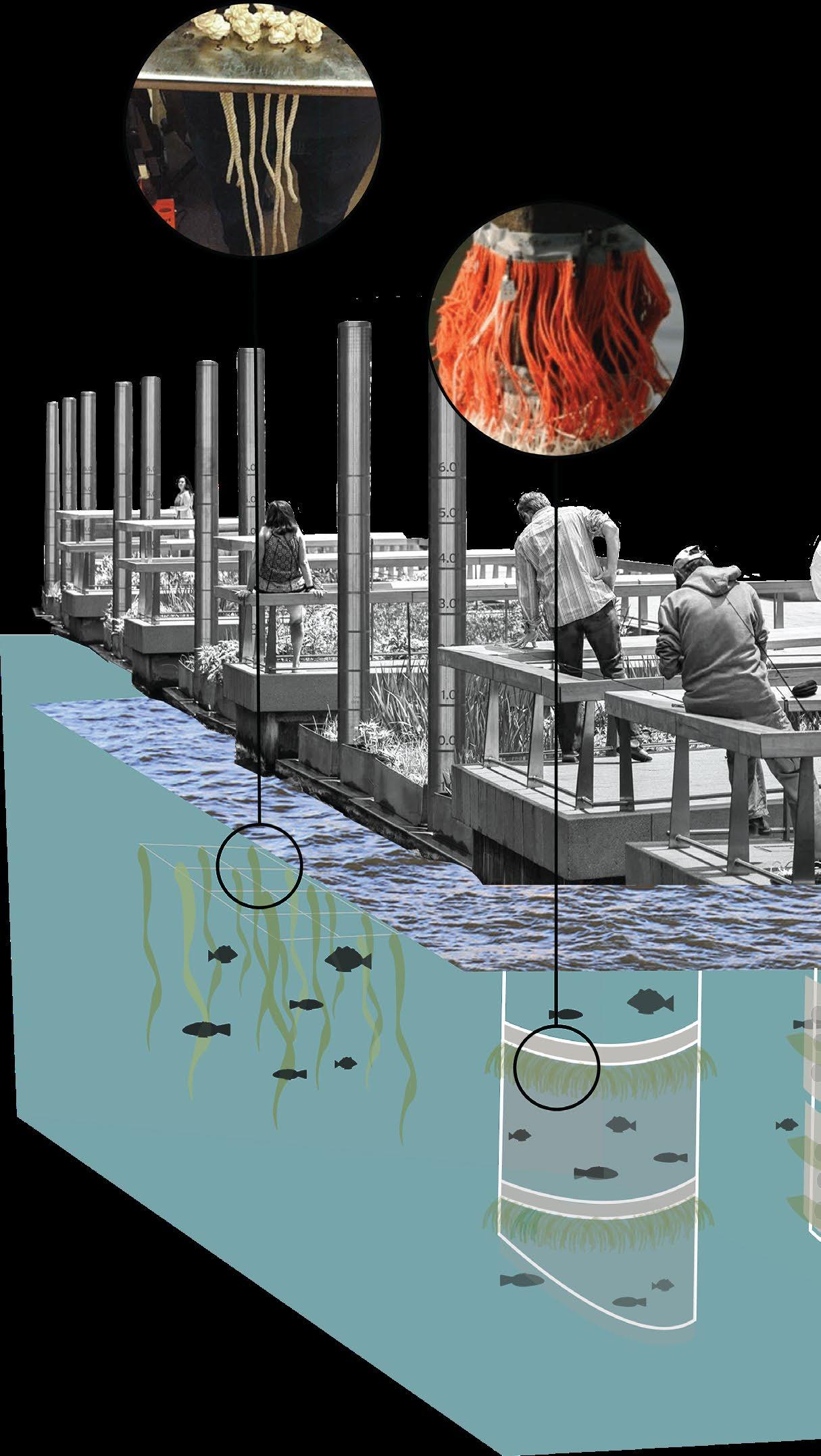 Urban Planning Portfolio | Margaret Dull | Fall 2023 - Fall 2024 by ...