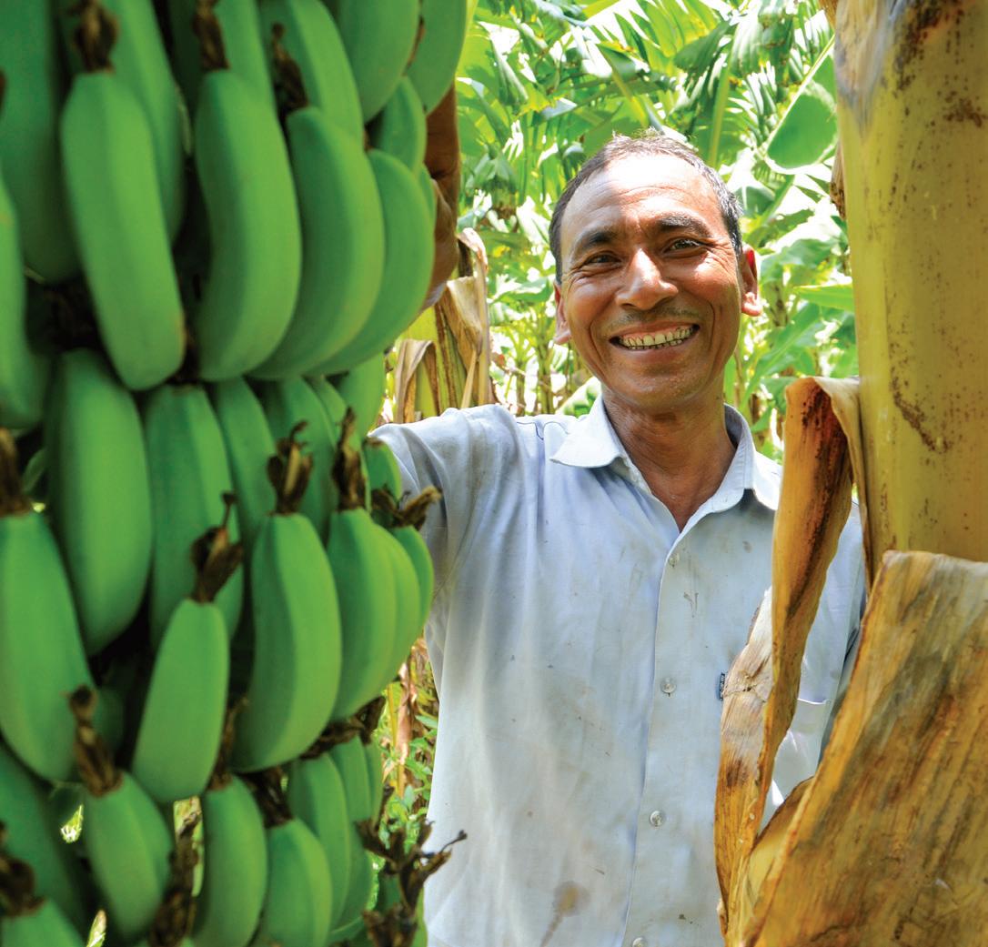 Gifts of Grace 2024 by australianlutheranworldservice - Issuu