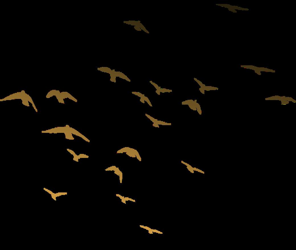 ARCHITECTURAL PORTFOLIO by Thomas Hailu - Issuu