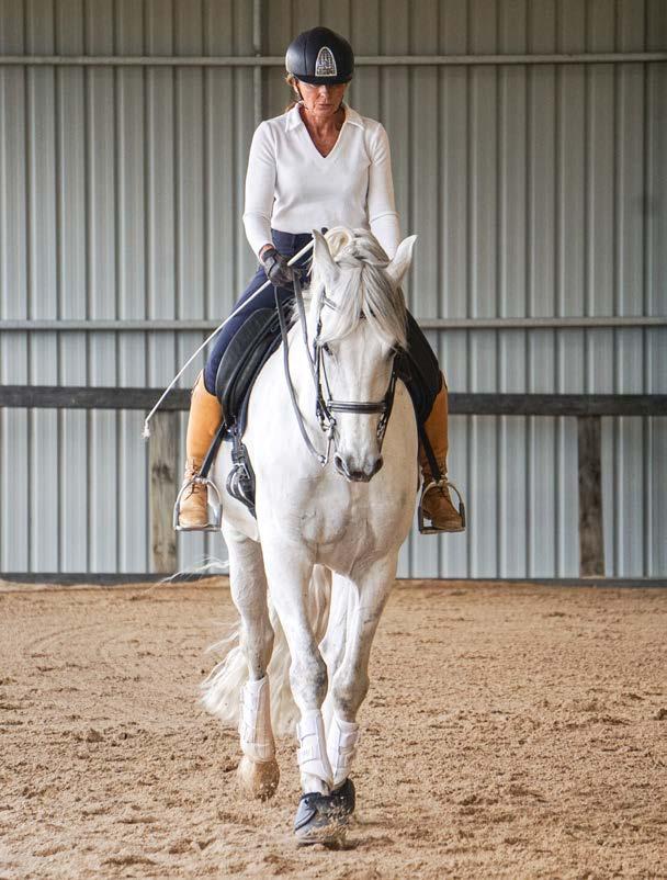 WINTERWOOD FARM ~ Breeding for Excellence - Issuu