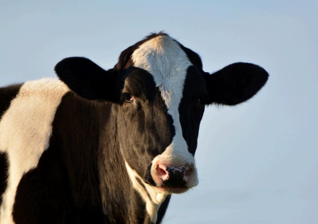 Portofolio Arsitektur by Ananda Alya Rifani - Issuu