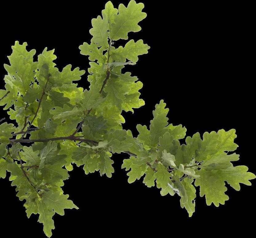 Portfolio - Landscape Architecture by Philip Lang - Issuu