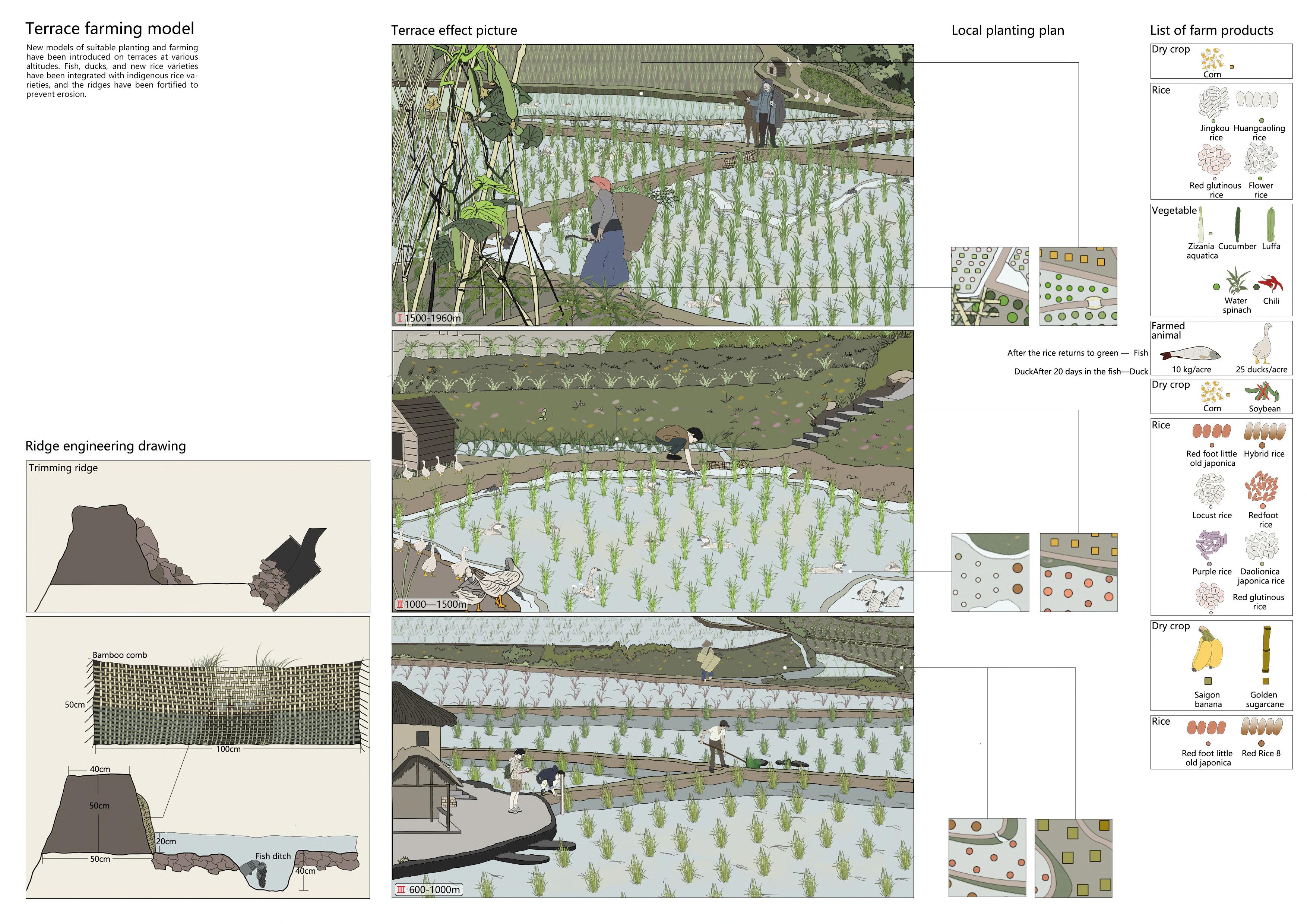 UCL-Design Portfolio For Architecture and Historic Urban Environments ...