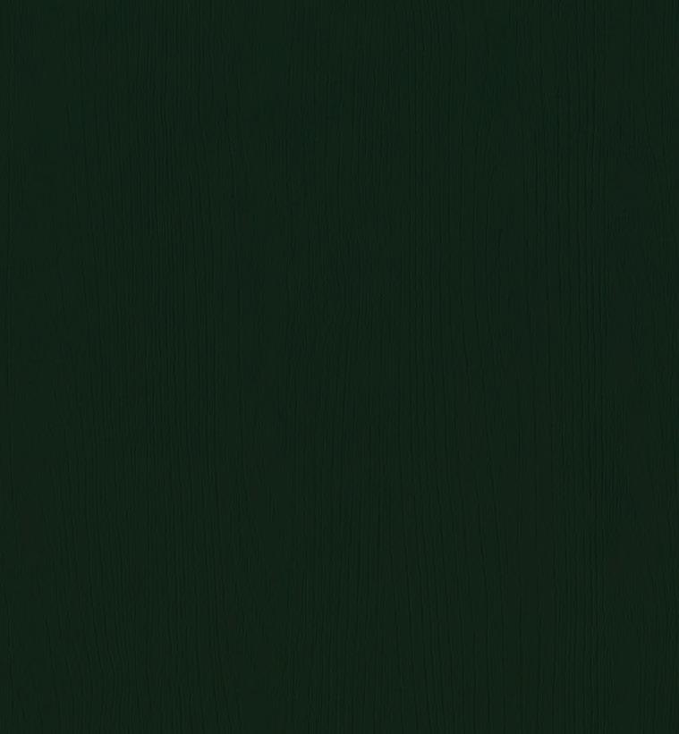 Renolit 3D Film 2024 by Nikpol Australia - Issuu