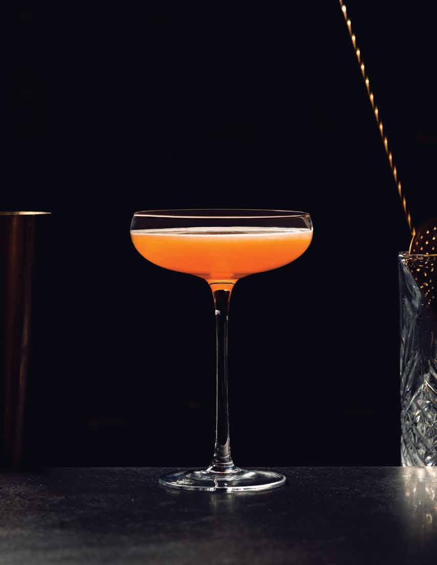 Arc Cardinal Catalog 2024/2025 by Arc Cardinal - Issuu